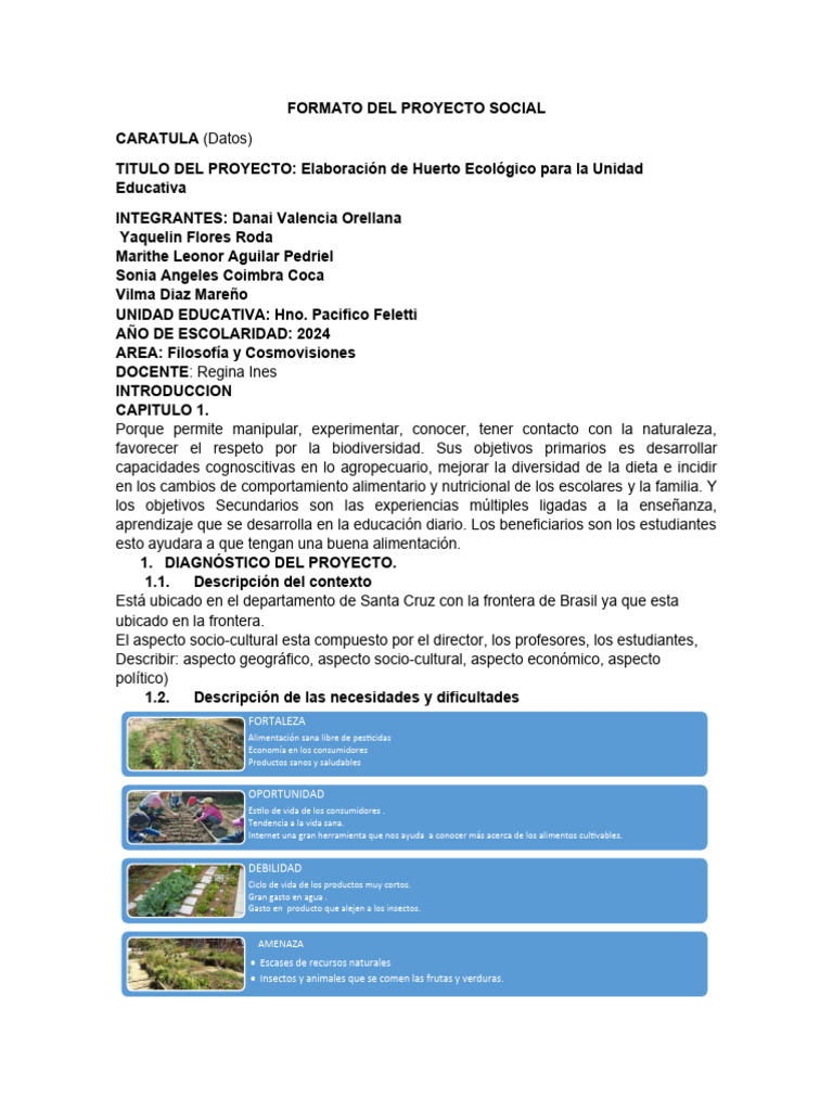 FORMATO-DEL-PROYECTO-SOCIAL (2) (Recuperado Automáticamente) 2 | PDF | Agricultura | Huerta