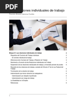 Relaciones Individuales Del Trabajo | PDF | Derecho laboral | Salario