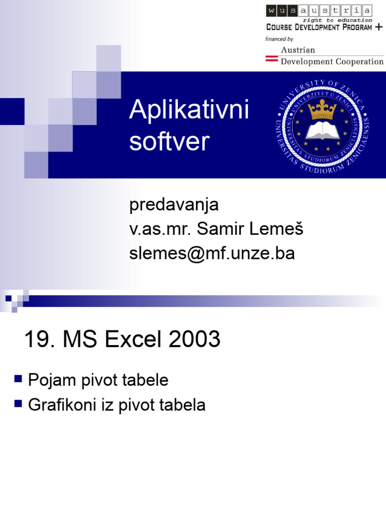 Pojam Pivot Tabele | PDF