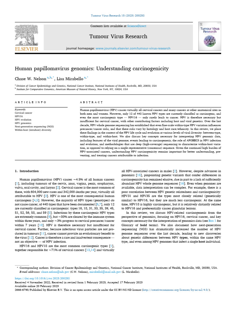 Chase Nelson, Vph | PDF | Virus | Open Reading Frame