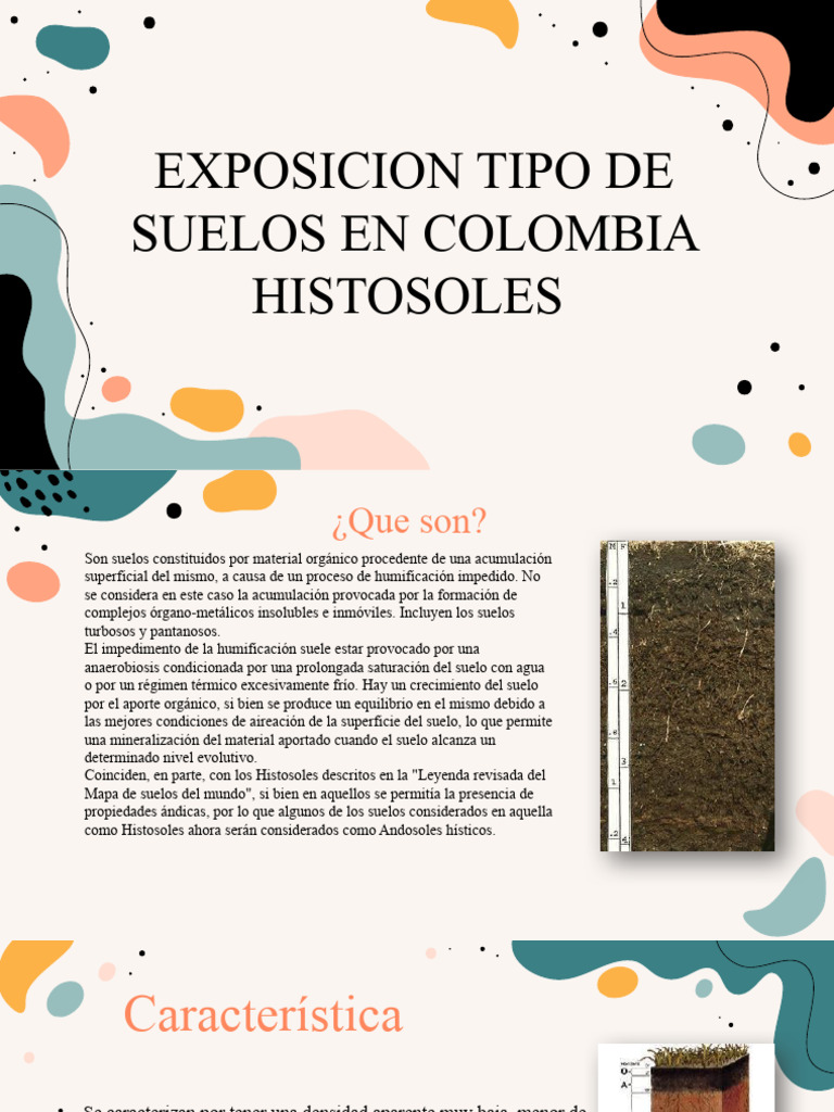 Exposicion de Los Histosoles Biologia | PDF | Suelo | Turba
