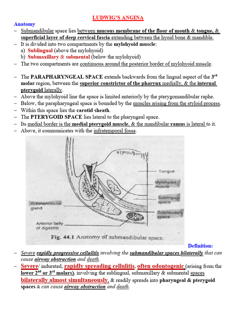 Ludwig Angina | PDF | Human Head And Neck | Clinical Medicine