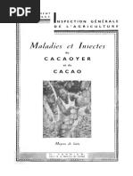 Guide de culture du macabo au Cameroun | PDF | Fertilisant | Maïs