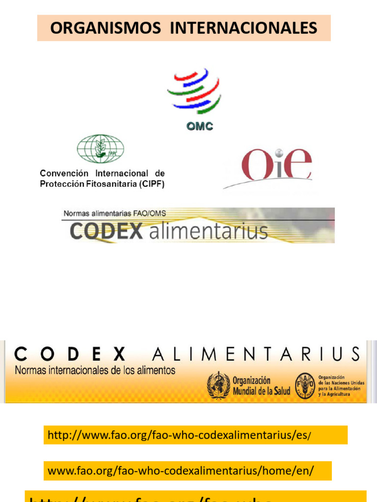 CODEX | PDF | Política alimentaria | Hambre