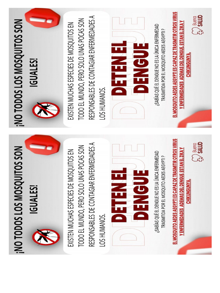 Folleto Del Dengue | PDF