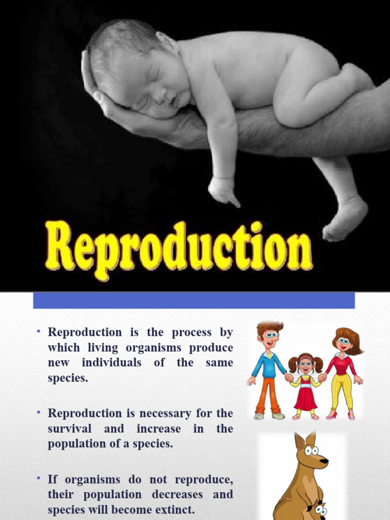 Class X Chapter 8 How Do Organisms Reproduce | PDF | Uterus | Reproduction