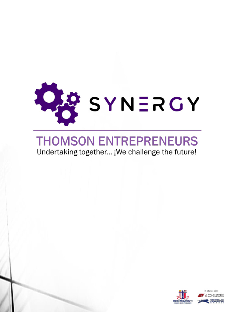 Instrucciones Presentación Preliminar Proyectos SINERGY 2024 | PDF | Marketing | Producto (Negocio)