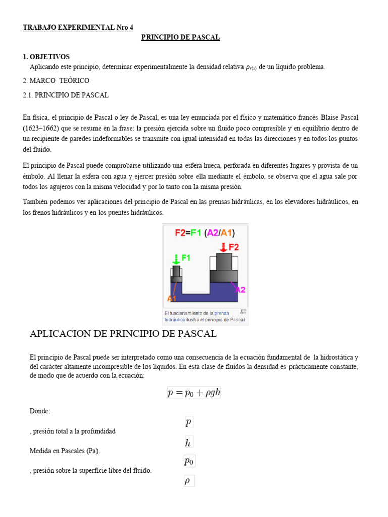 LAB DE FIS PRINCIPIO DE PASCAL | PDF | Mecánica de Medios Continuos | Mecánica de fluidos