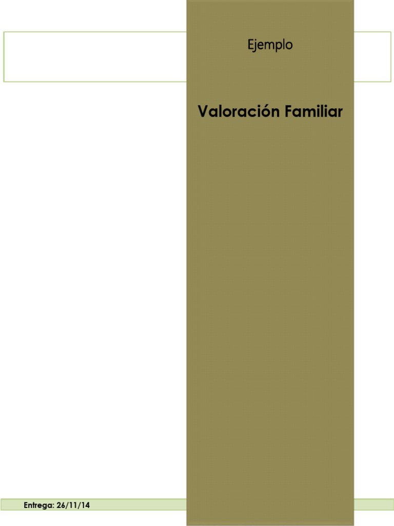 Valoracion Familiar Integral | PDF | Familia | El embarazo