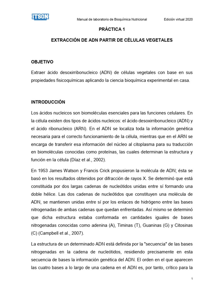 Práctica 1-2 | PDF | Adn | Ácidos nucleicos