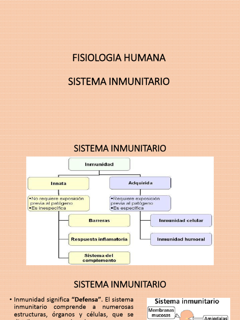 Sistema Inmunitario | PDF | Sistema inmune | Sistema inmunitario adaptativo
