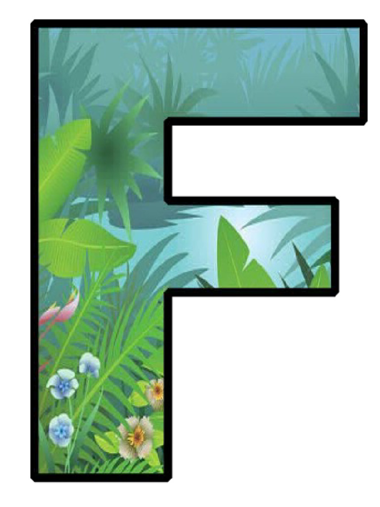 Letras Amazonicas | PDF