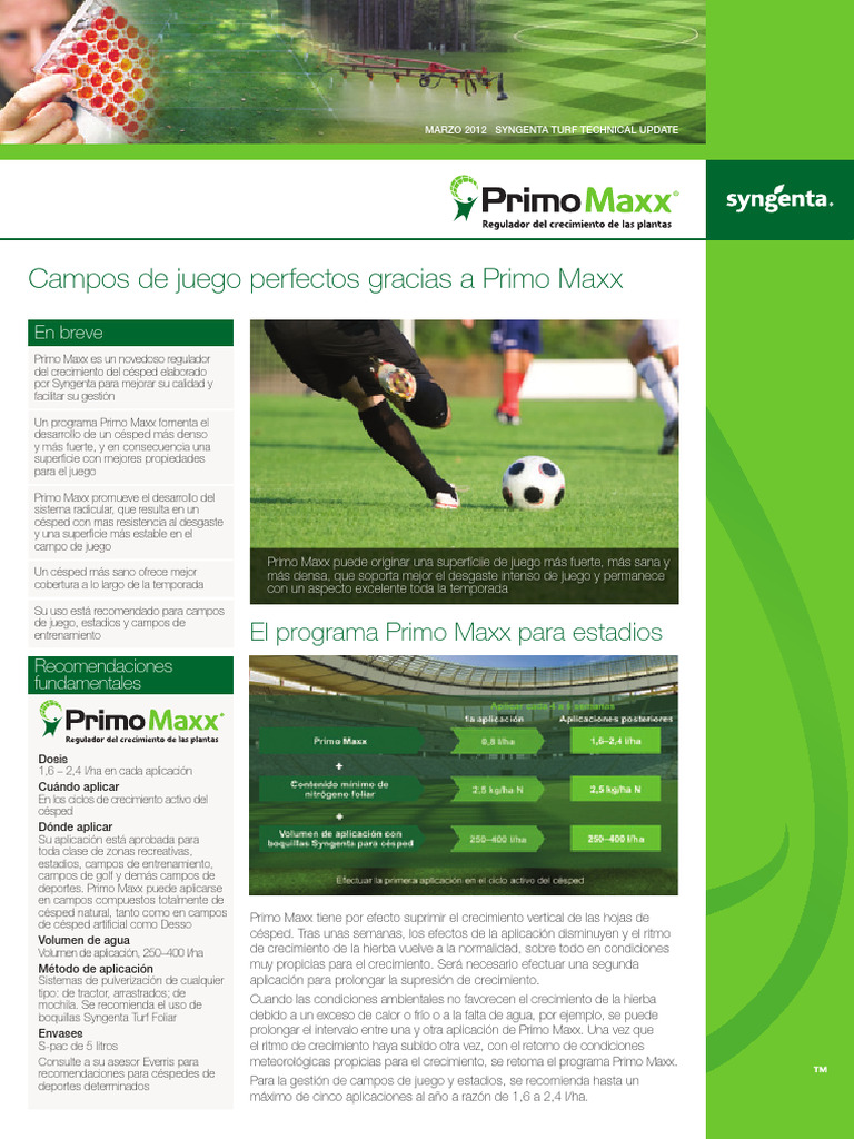 Primo Max Futbol | PDF