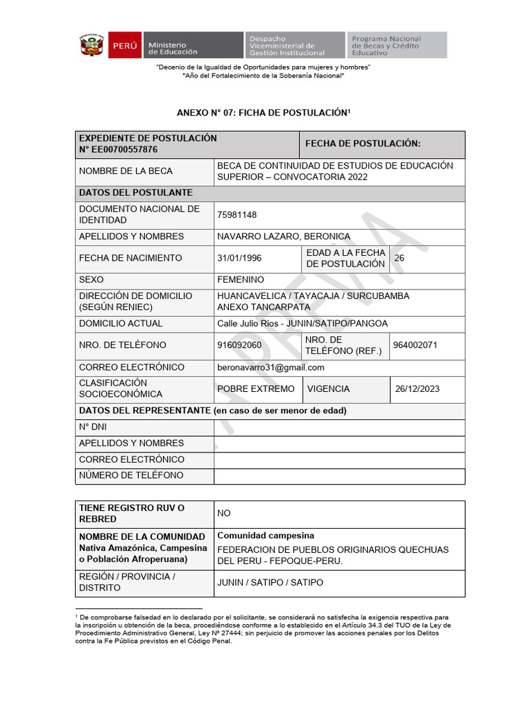 Ficha de Postulacion | PDF