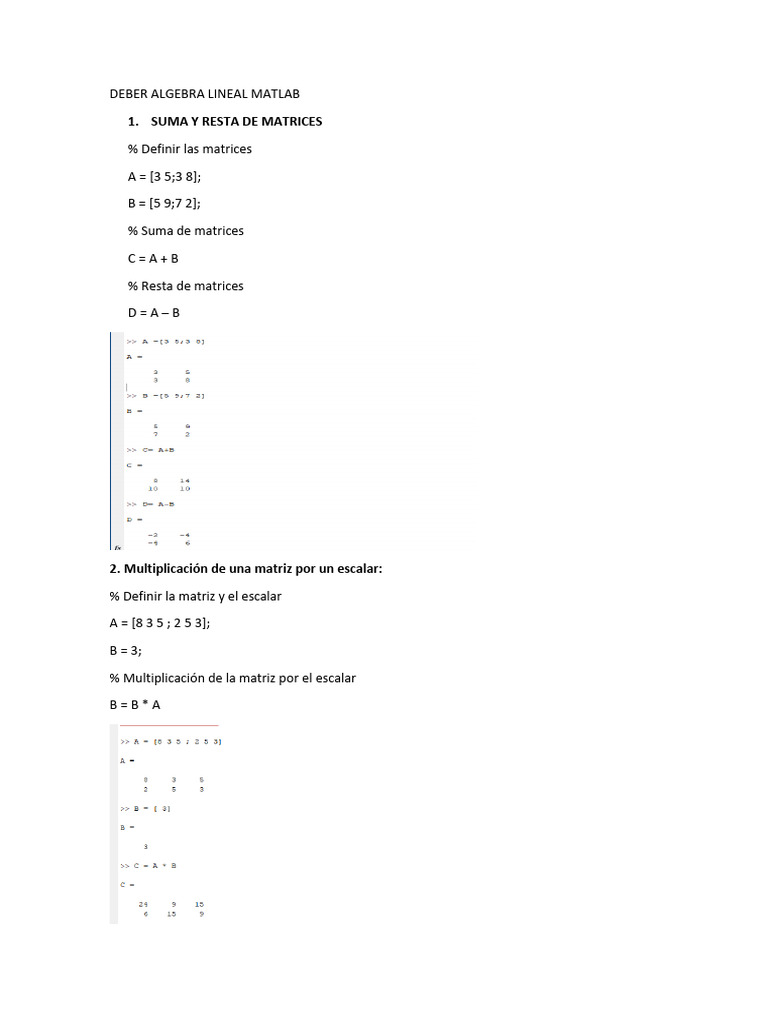 Deber Algebra Lineal Matlab | PDF | Determinante | Matriz (Matemáticas)