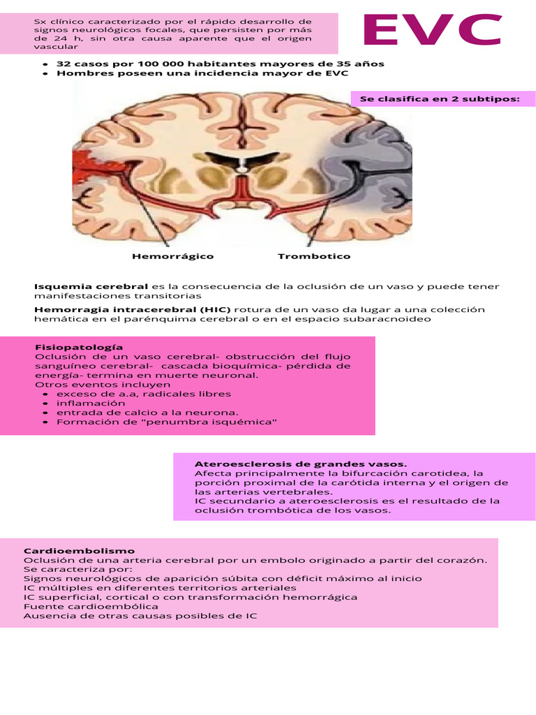 Evc 20240308 084533 0000 | PDF | Carrera | Demencia