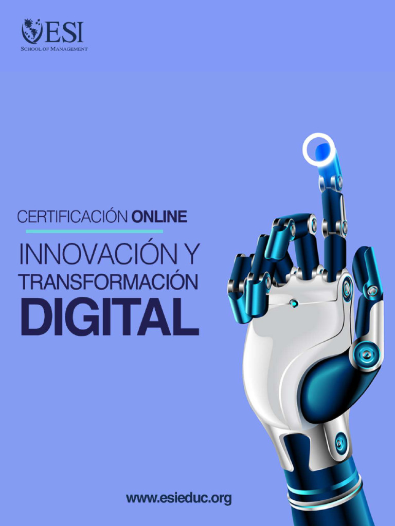Innovación y Transformacion Digital - Ebook | PDF