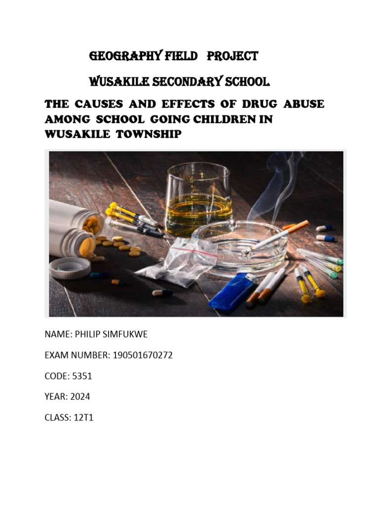 Geography field project | PDF | Self Esteem | Substance Abuse