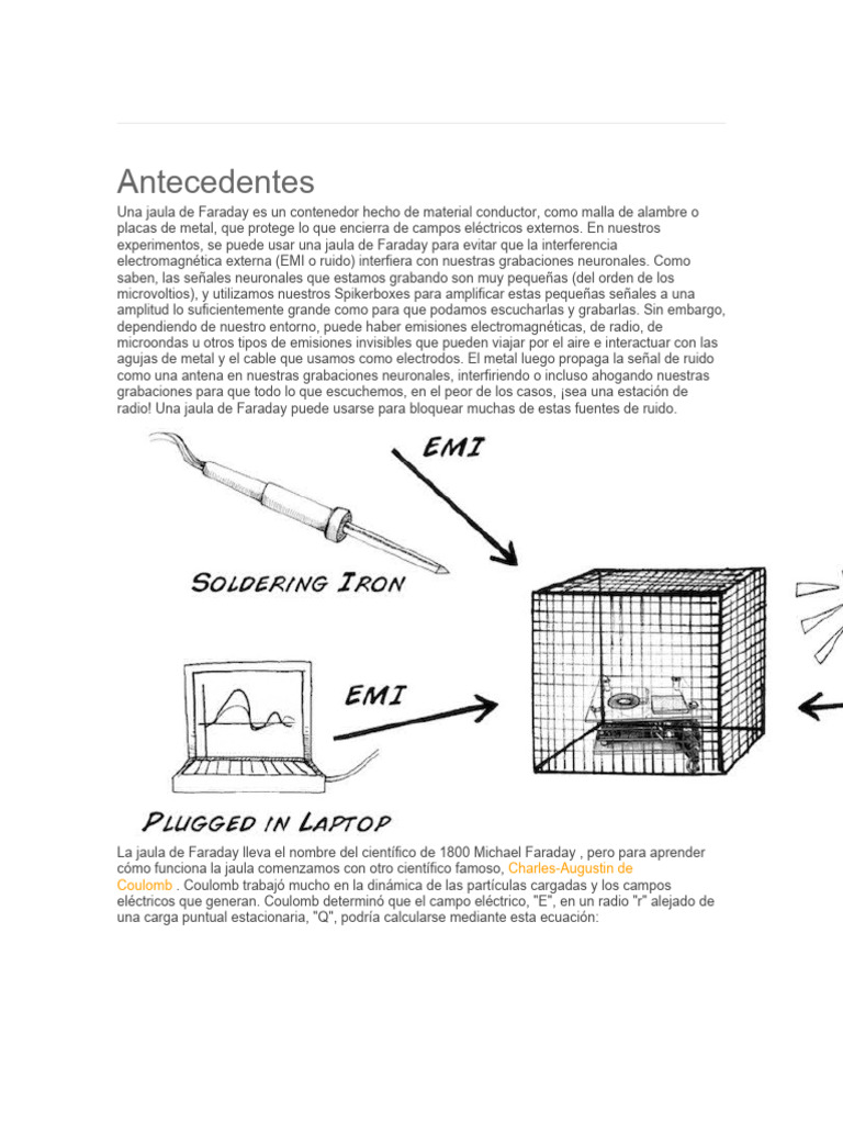 JAULA DE FARADAY | PDF | Electricidad | Campo eléctrico