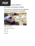 Geography Field Project | PDF | Hydroelectricity | Nature