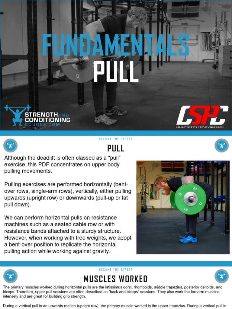 Fundamentals - Pull | PDF | Limbs (Anatomy) | Human Anatomy