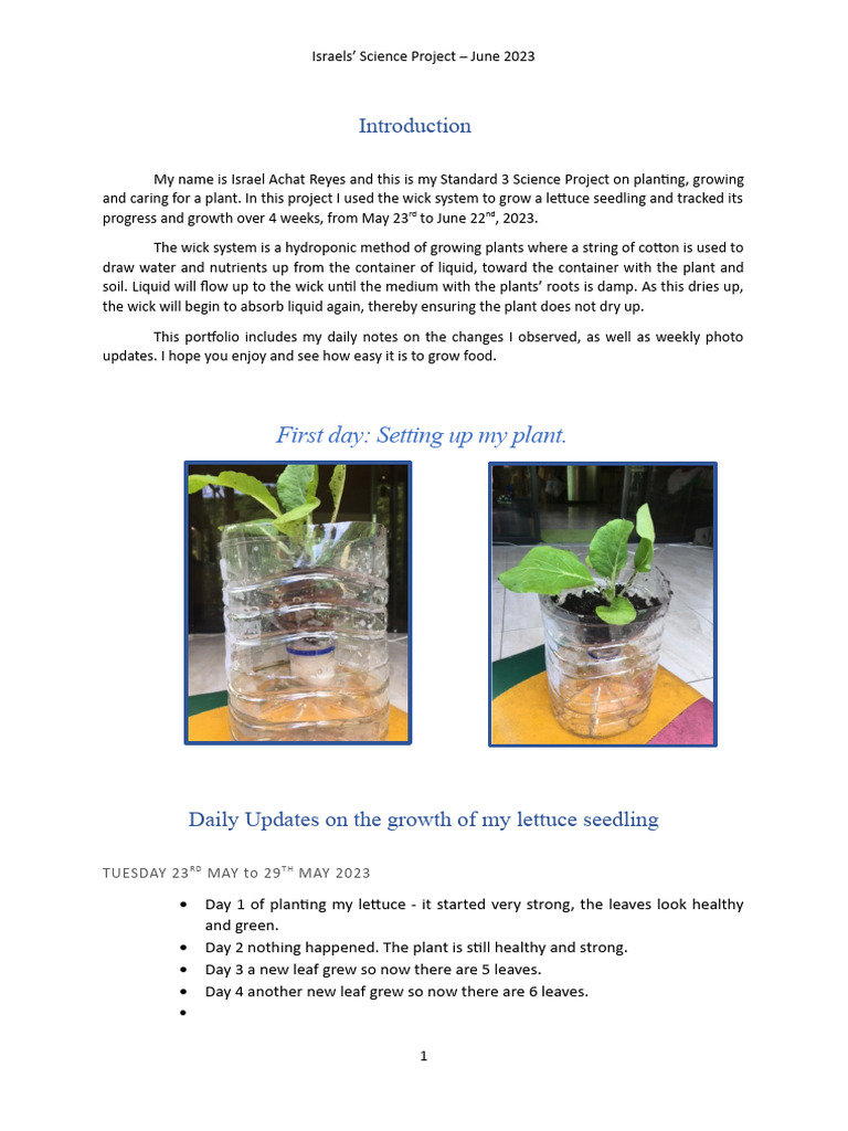 STD 3 Science Project | PDF | Seedling | Plants