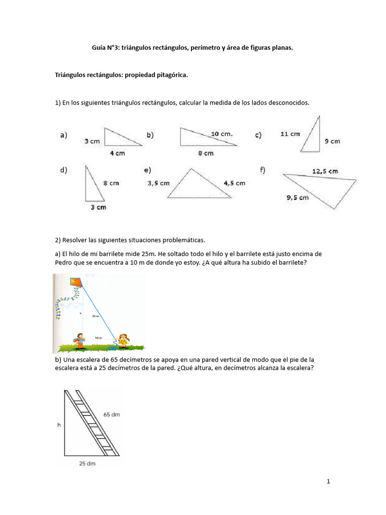 Guía N°3 Triángulos Rectángulos, Perímetro y Área | Descargar gratis ...