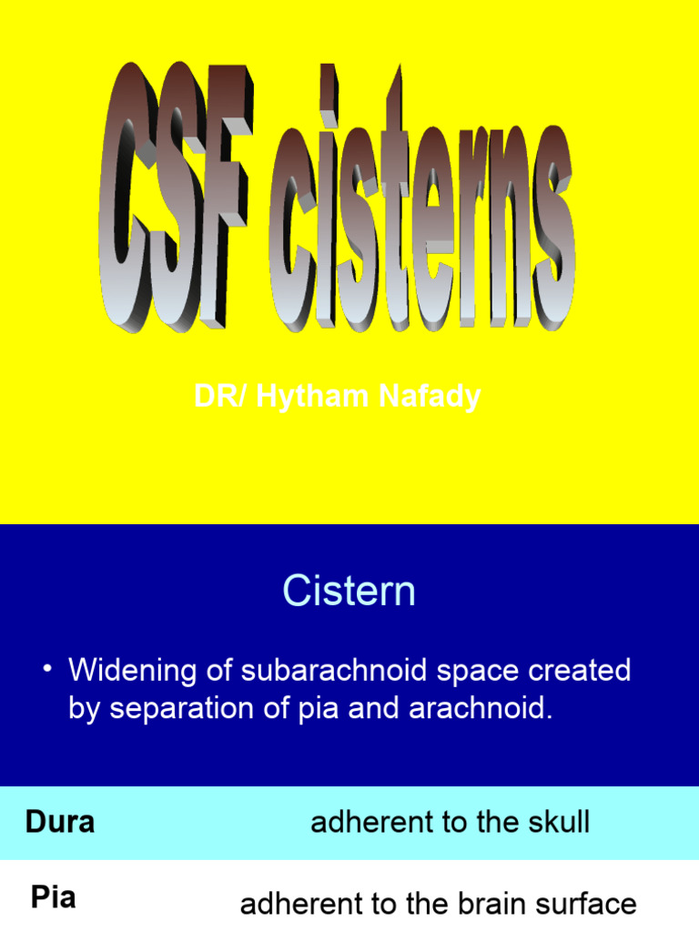 CSF Cisterns | Download Free PDF | Cerebrospinal Fluid | Brain