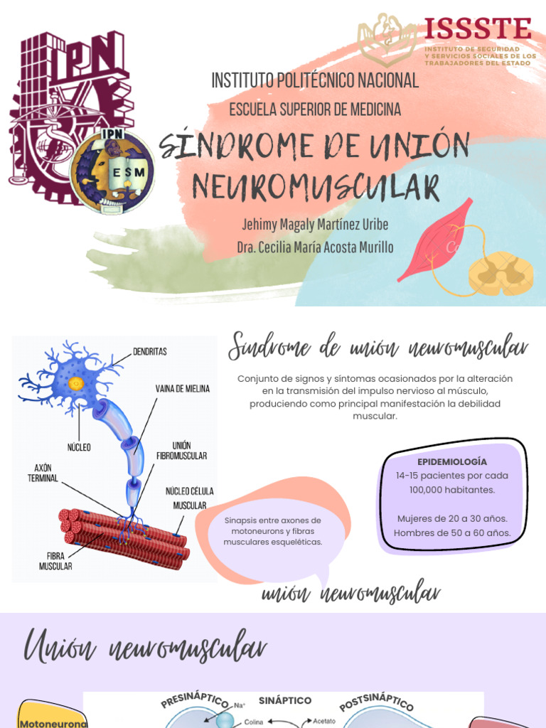 Síndrome de Unión Neuromuscular | PDF | Unión neuromuscular | Sinapsis