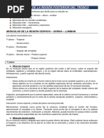 Músculos de La Nuca | PDF | Sistema musculoesquelético | Anatomía humana