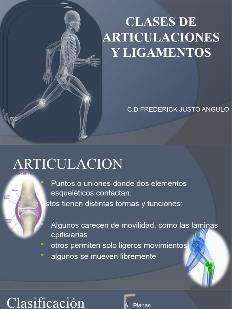 Clases de Articulaciones Y Ligamentos: C.D Frederick Justo Angulo | PDF ...