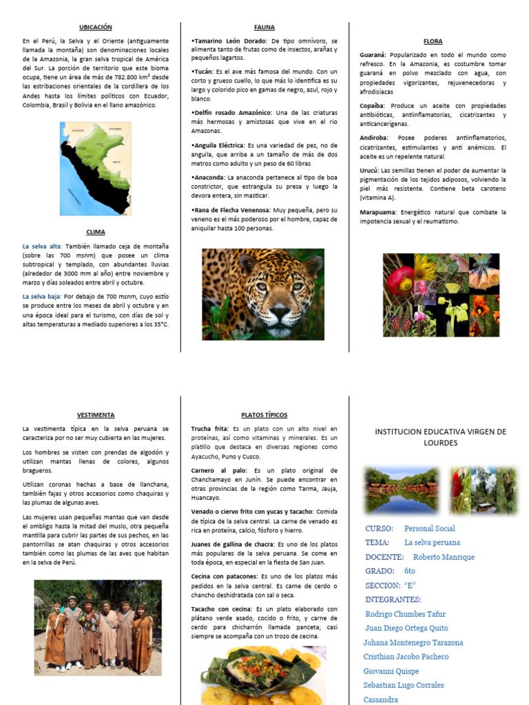 TRIPTICO. LA SELVA PERUANAdocx | PDF | Selva amazónica
