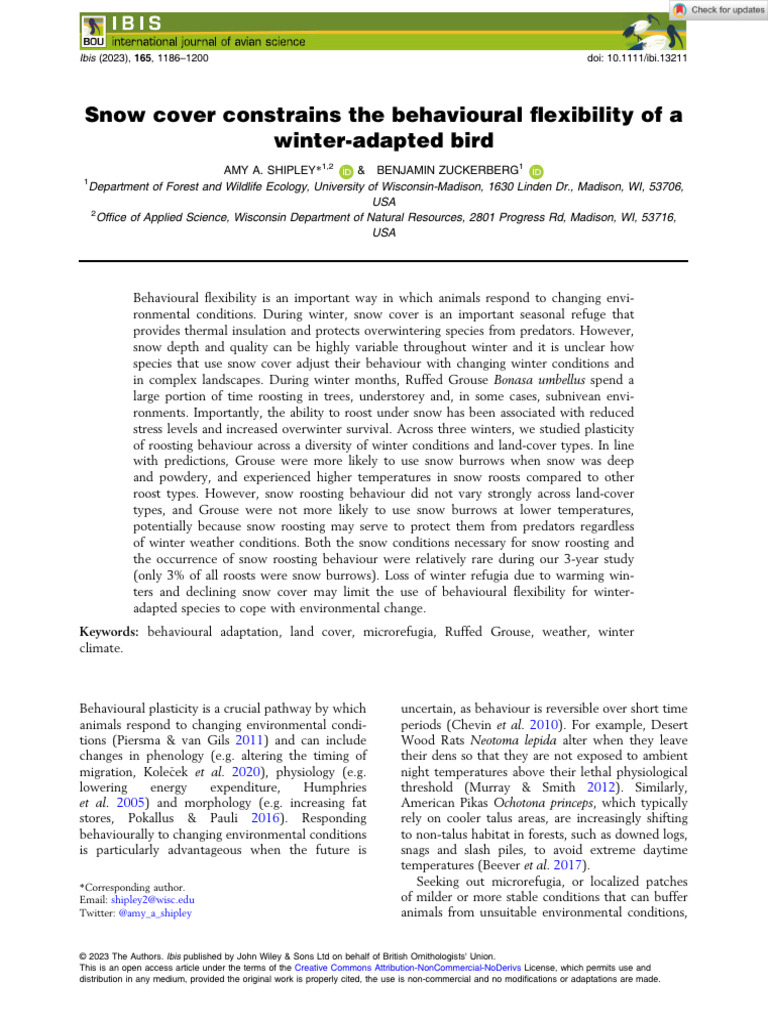 Snow cover constrains the behavioural flexibility of a winter‐adapted ...