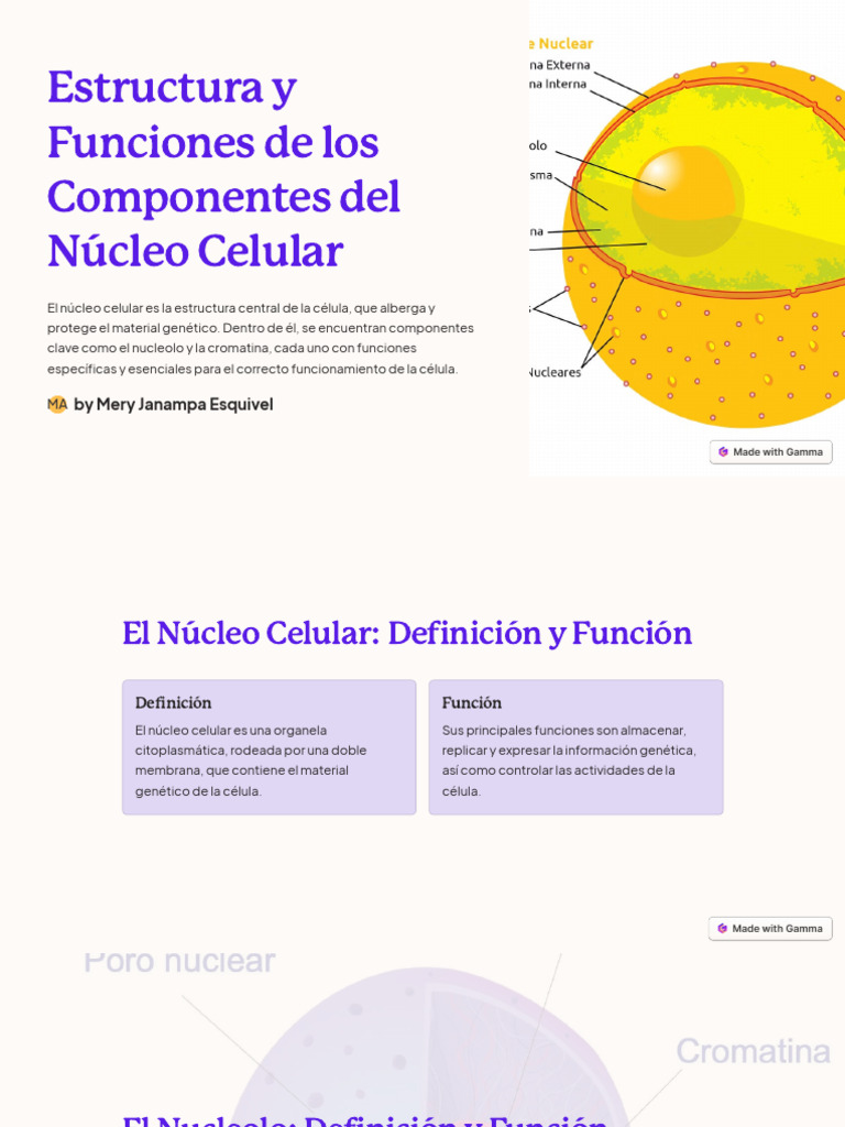 Estructura y Funciones del Núcleo Celular | PDF | Nucleo celular ...