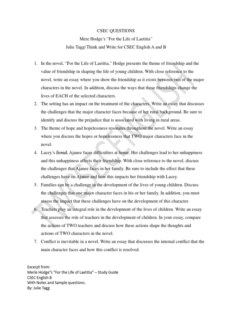 Essay Questions For The Life of Laetitia | PDF | Essays | Psychological ...