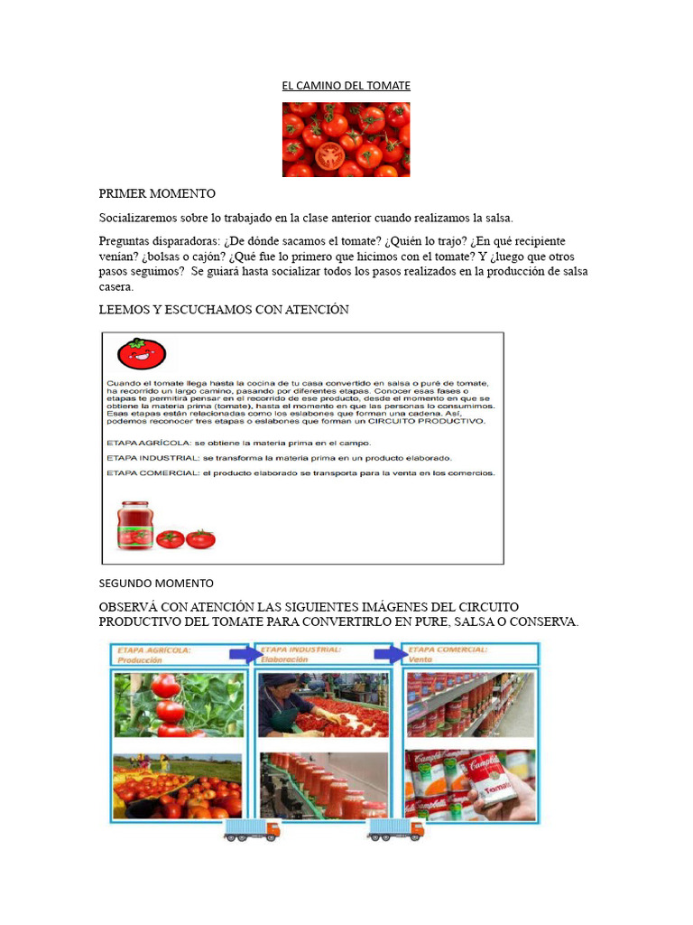 El Camino Del Tomate | PDF | Vegetales | Tomate