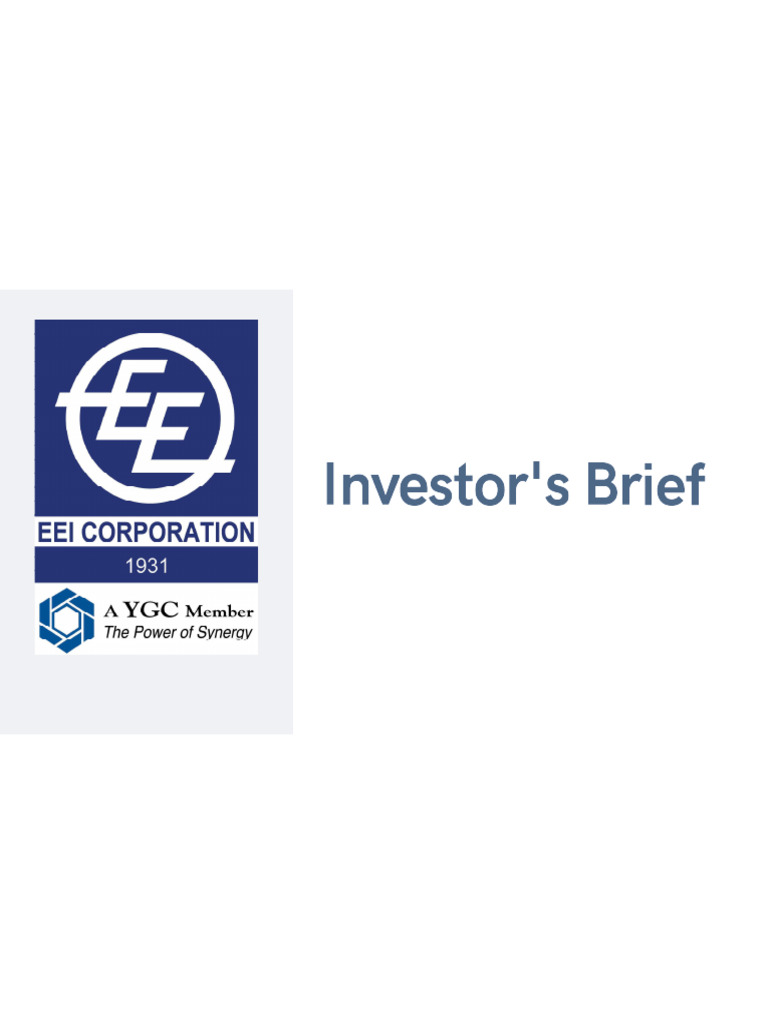 Investors Briefing | PDF