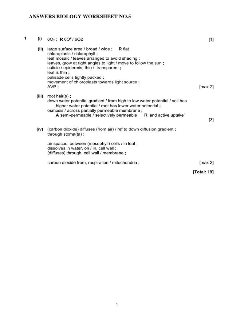 Answers Biology 7B Worksheet No.1 | PDF | Photosynthesis | Leaf