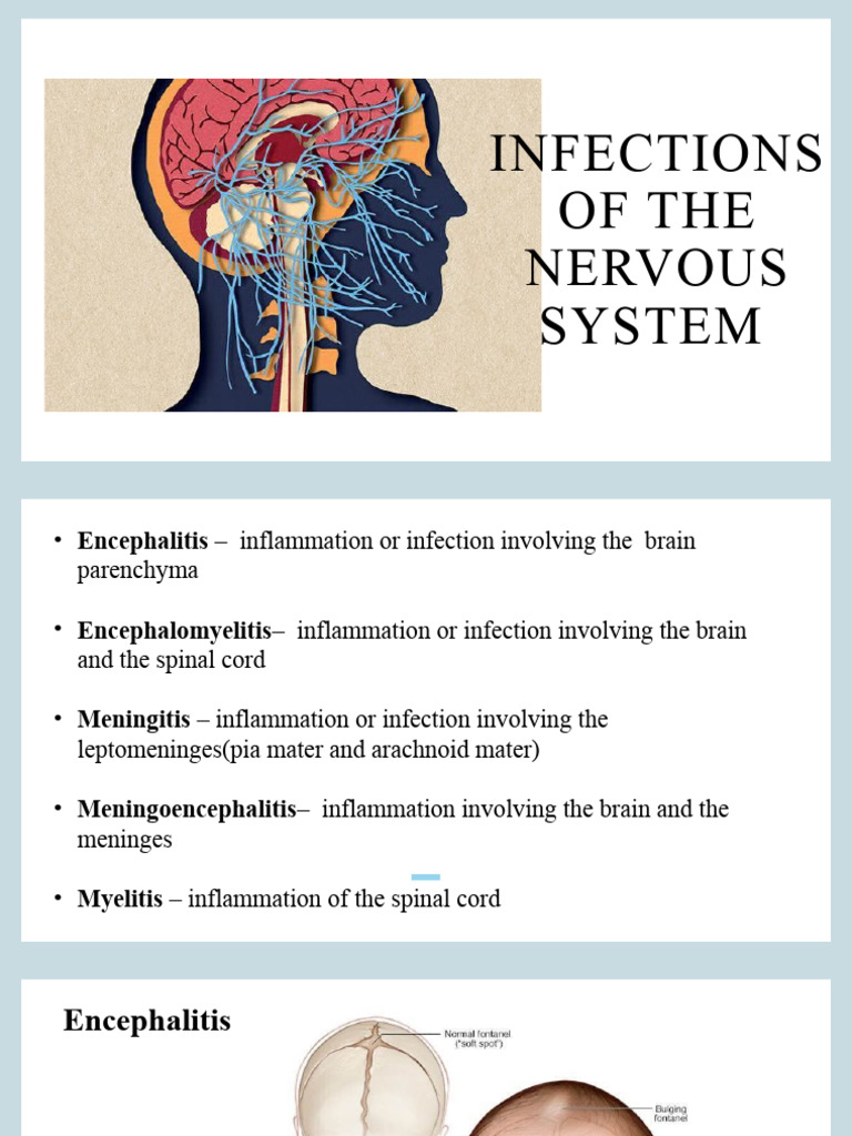 Nervous System Infections Overview | PDF | Rabies | Meningitis