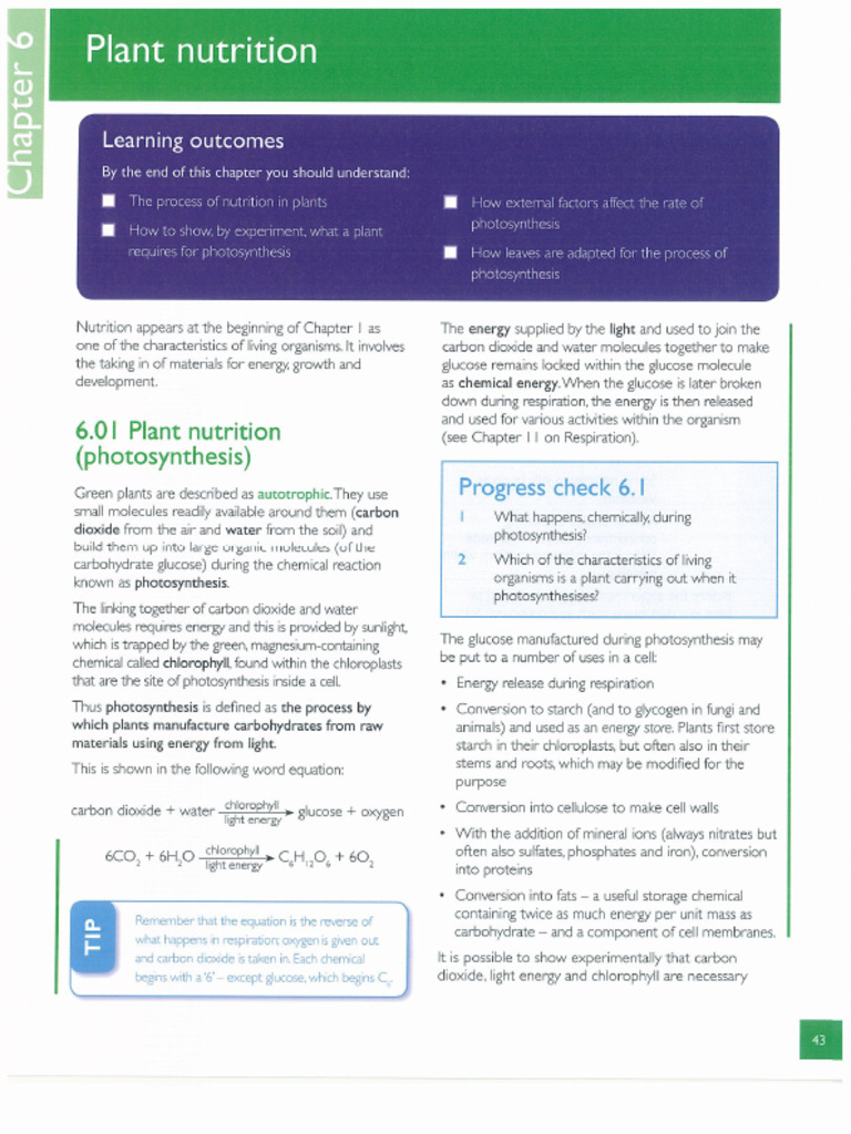 Photosynthesis Limiting Factors Explained | PDF | Photosynthesis ...