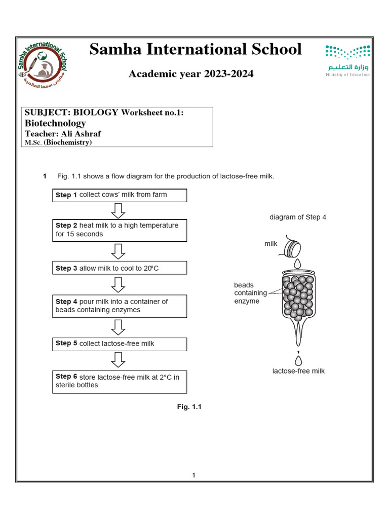 Biotechnology and Genetic Modification Worksheet No.1 | PDF | Plasmid ...