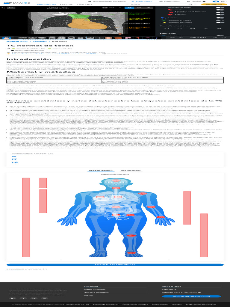 Anatomía de Los Pulmones, Mediastino y Corazón en TAC (Tomografía ...