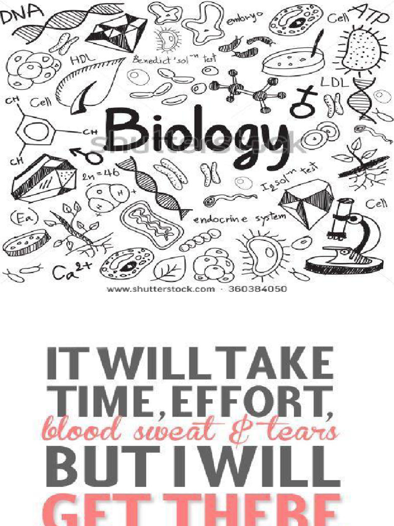 Components of Blood | PDF | Blood | Red Blood Cell