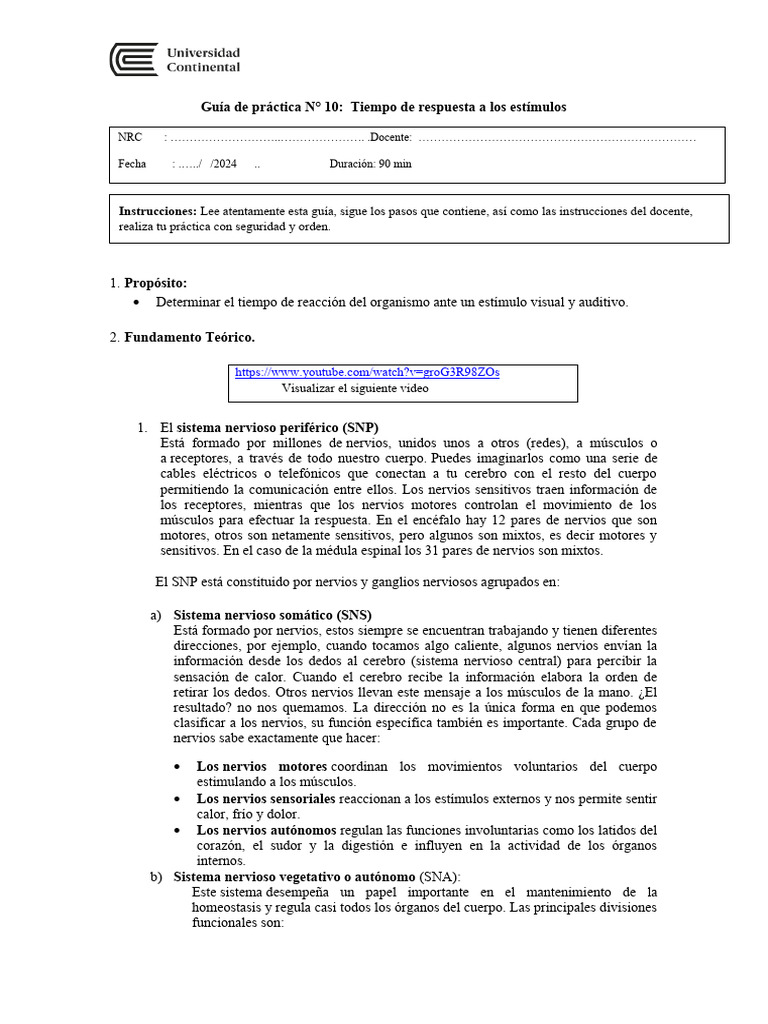GUÍA DE PRÁCTICA N° 10 | PDF | Sistema nervioso | Biología