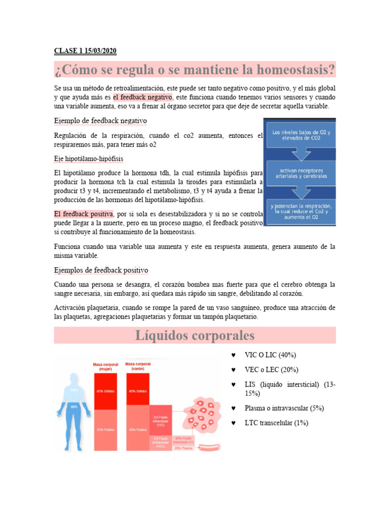Homeostasis y Transporte Celular | PDF | Receptor (Bioquímica) | Bicapa lipídica