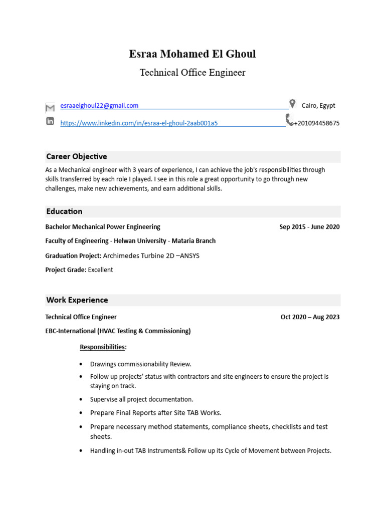 Esraa El Ghoul CV-2 | PDF