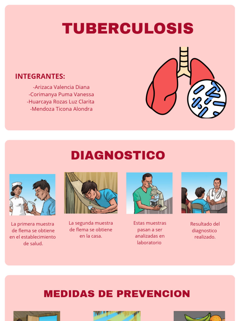 Presentacion de La Tuberculosis | PDF | Tuberculosis | Causas de la muerte