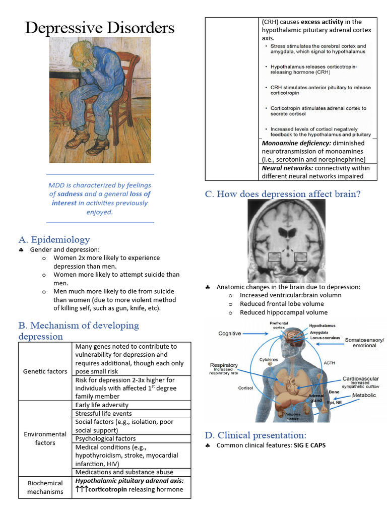 Depressive Disorders | PDF | Major Depressive Disorder | Mental Disorder