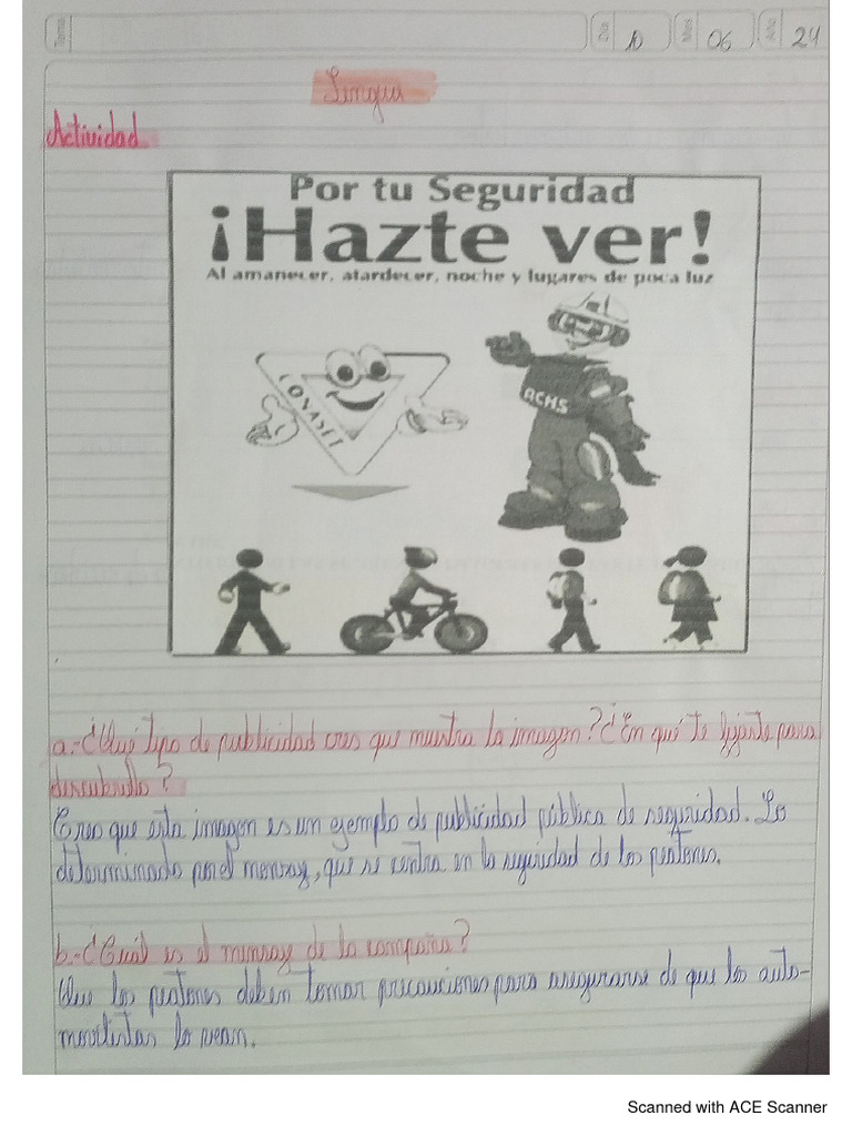 ACE Scanner_2024 | PDF