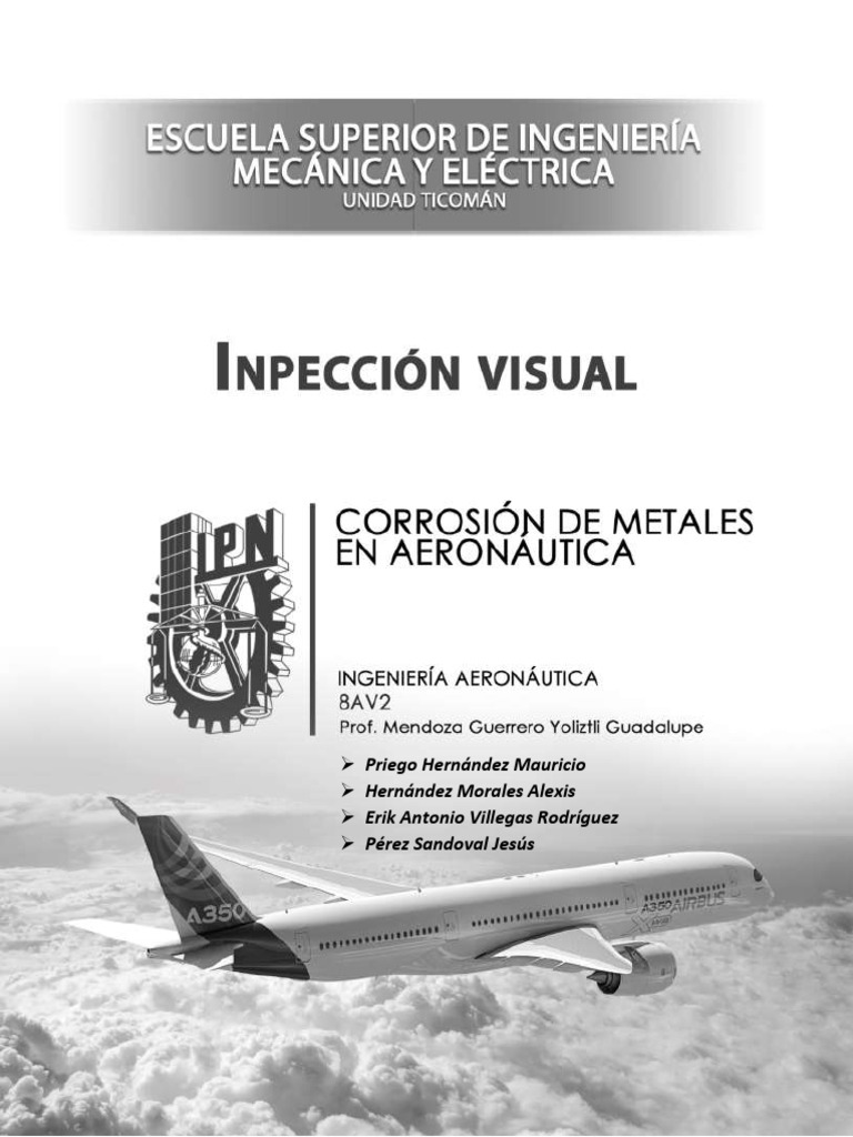 Practica Inspección Visual | PDF | Corrosión | Percepción visual